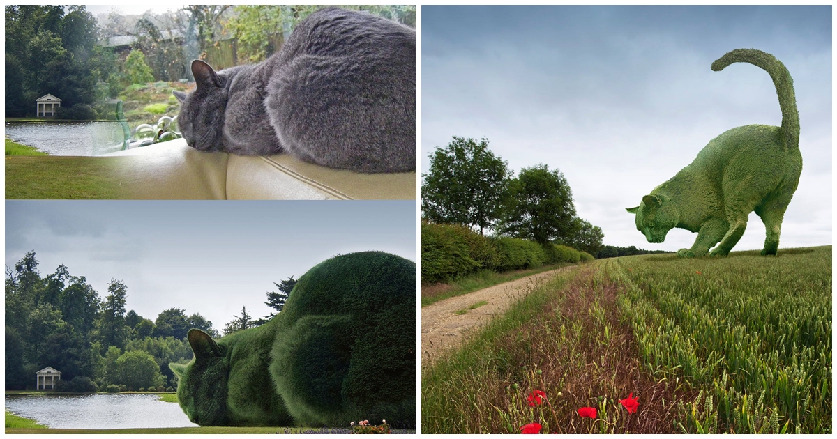 The Swim Reaper V Topiary Cats | MY ENDURING BONES