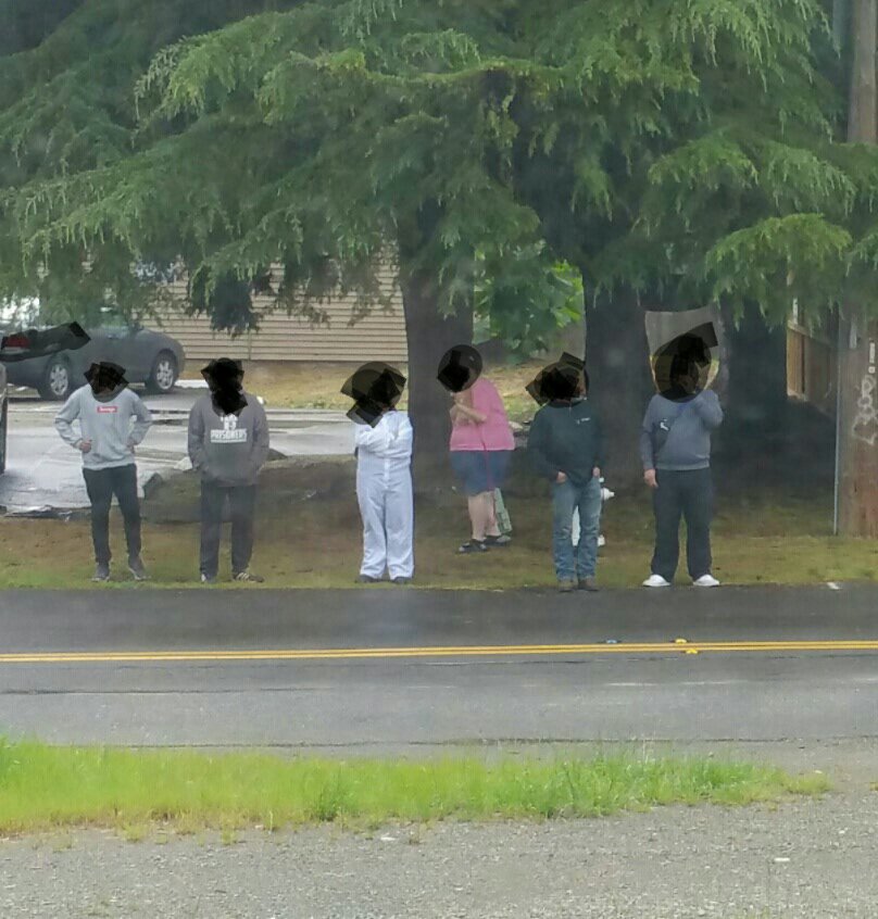 The Kent City Mutations | MY ENDURING BONES