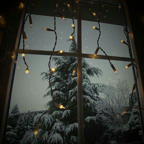 The Window Watchers | MY ENDURING BONES