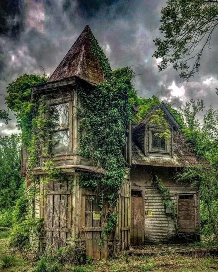 Houses | MY ENDURING BONES