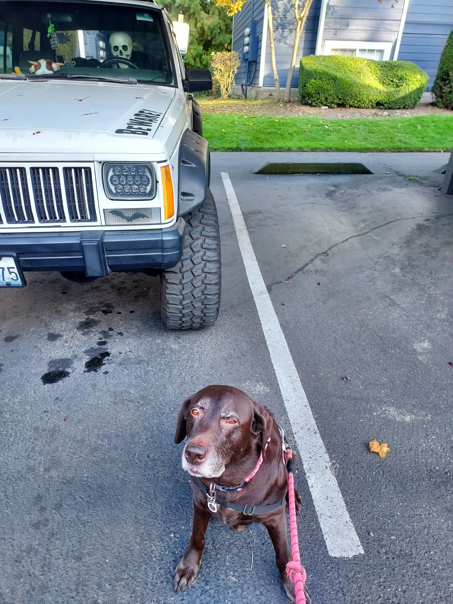 Hamish and The Skeleton | MY ENDURING BONES